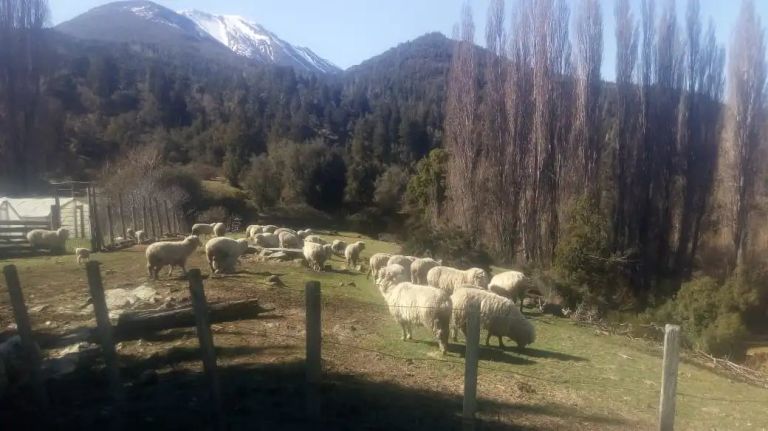La huella del bandolero que tuvo que aquerenciarse en El Foyel | Diario ...