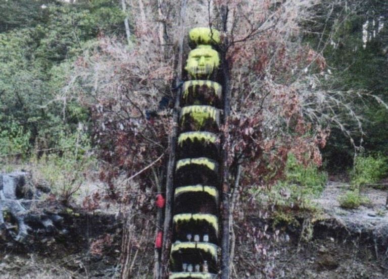 La machi hace ceremonias en el rewe de Mascardi | Diario El Cordillerano